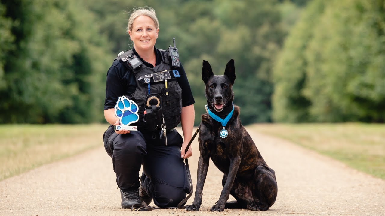 Thin Blue Paw Crime Fighting Duo Award 2021 - PC Kelly Walker and ...