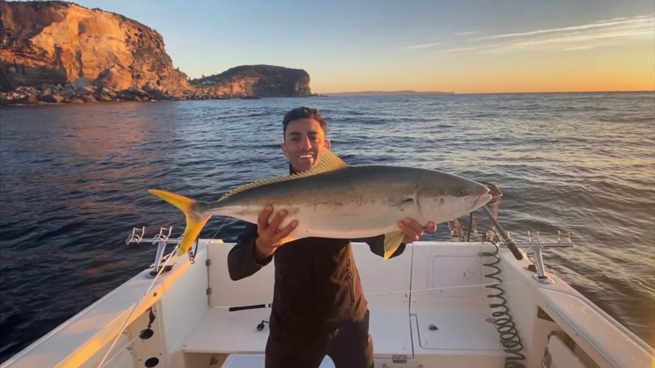 💥BIG KINGFISH💥 ON NEW RIG #arvor605sportsfish - YouTube