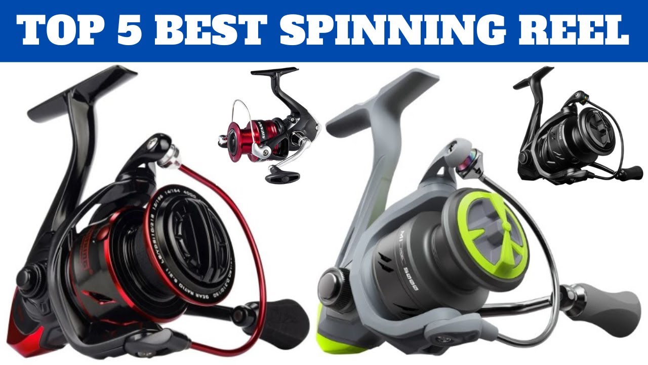 Top 5 Best Spinning Reel 2024 || Best Fishing Reel Review - YouTube