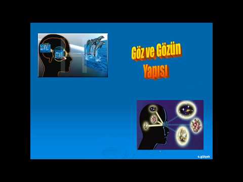 7.sınıf fen göz ve yapısı
