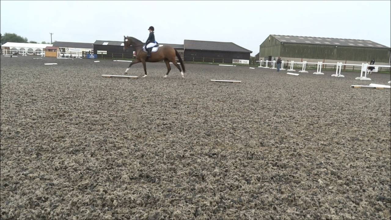 BD Prelim 14 - YouTube