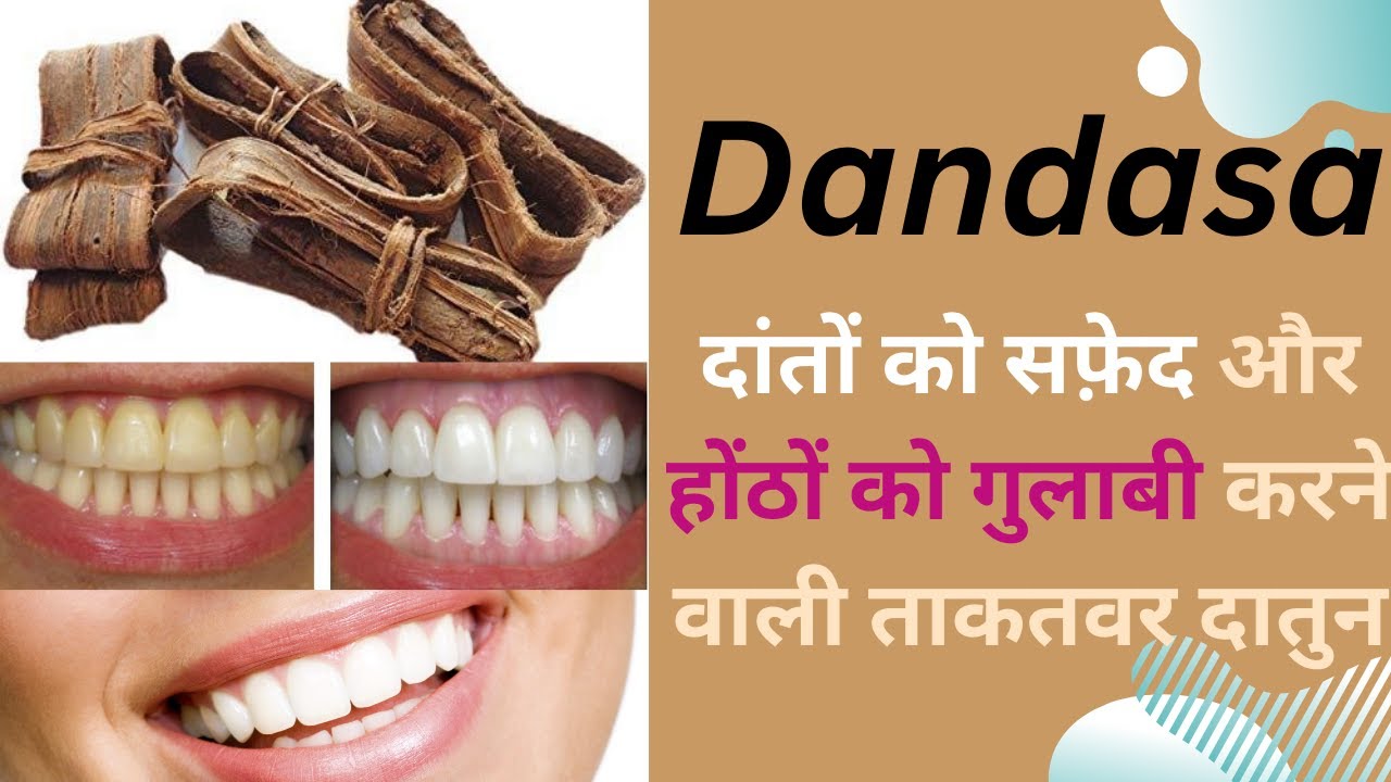 दंदासा सिर्फ दांत ही नहीं पुरे शरीर को देगा फायदा | Dandasa For Teeth ...