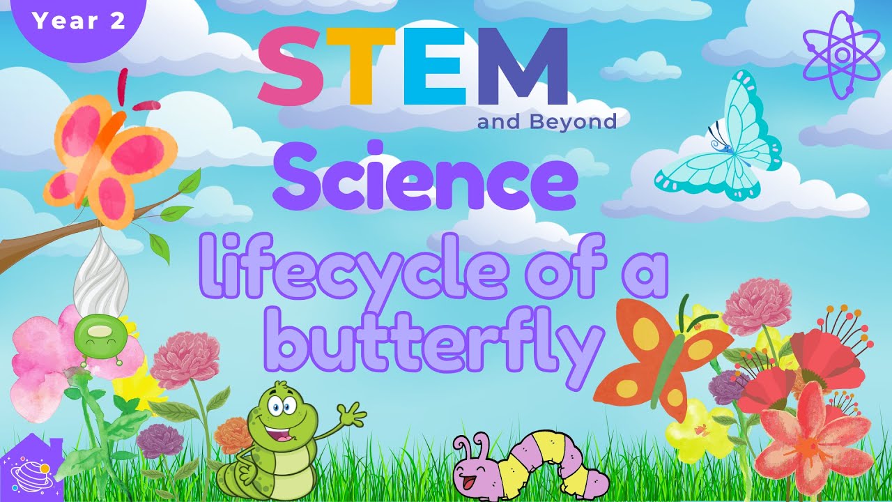 Lifecycle of a Butterfly | KS1 Science Year 2 | Home Learning - YouTube