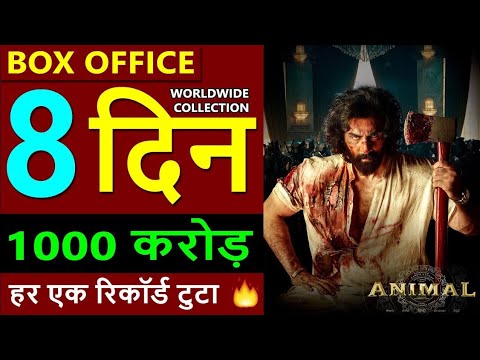 Animal Movie Box Office Collection today worldwide || Animal Box office ...