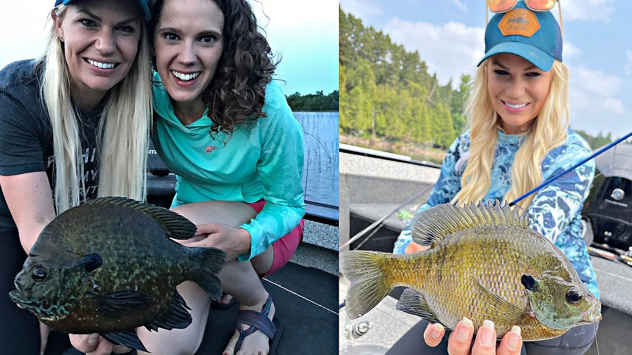 A SIMPLE Tactic For Summer Bluegill | Finding, Rigging, and Catching ...