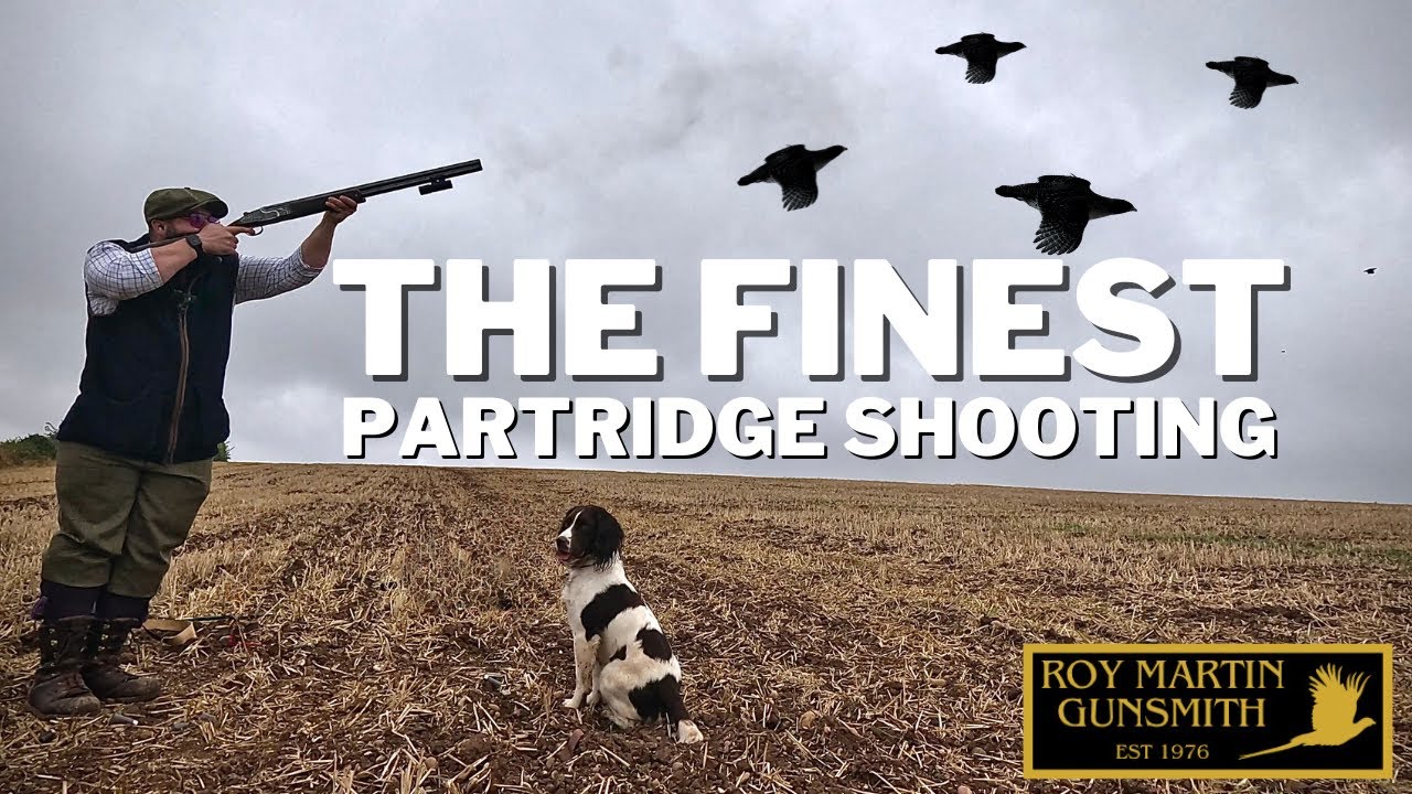 Traditional British Partridge Shooting At Prestwold Hall | Partridge ...