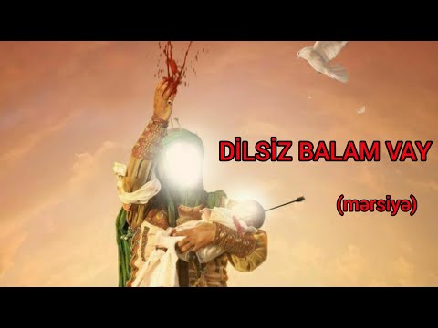 Dilsiz balam vay #yahussain #əhlibeyt