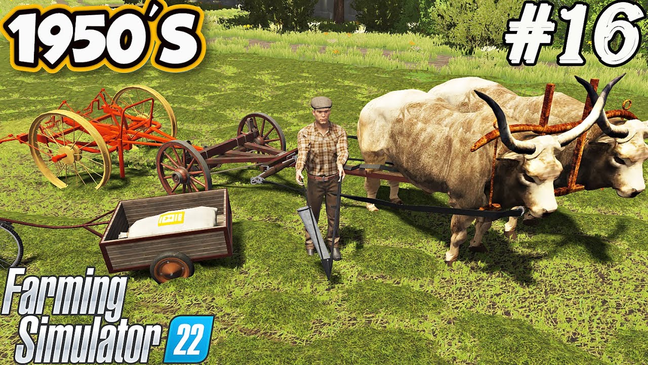 1950'S. Tedding hay. Raking hay by hand. Sowing carrots and beetroots ...