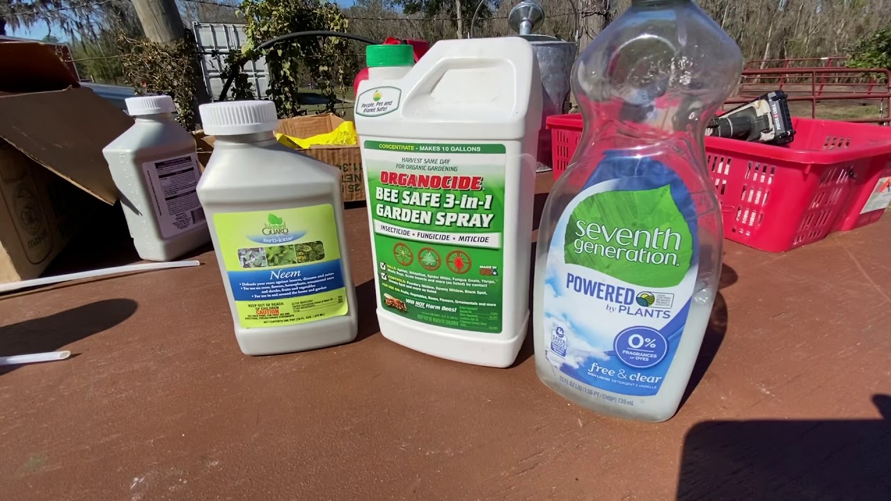 Pt 1/2 Organic Pest control target management products pt1 - YouTube