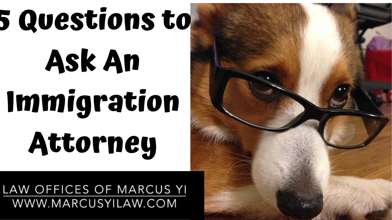 5 Questions To Ask When Hiring An Immigration Attorney O1 Visa Lawyer 5-questions-to-ask-when-hiring-an-immigration-attorney-o1-visa-lawyer