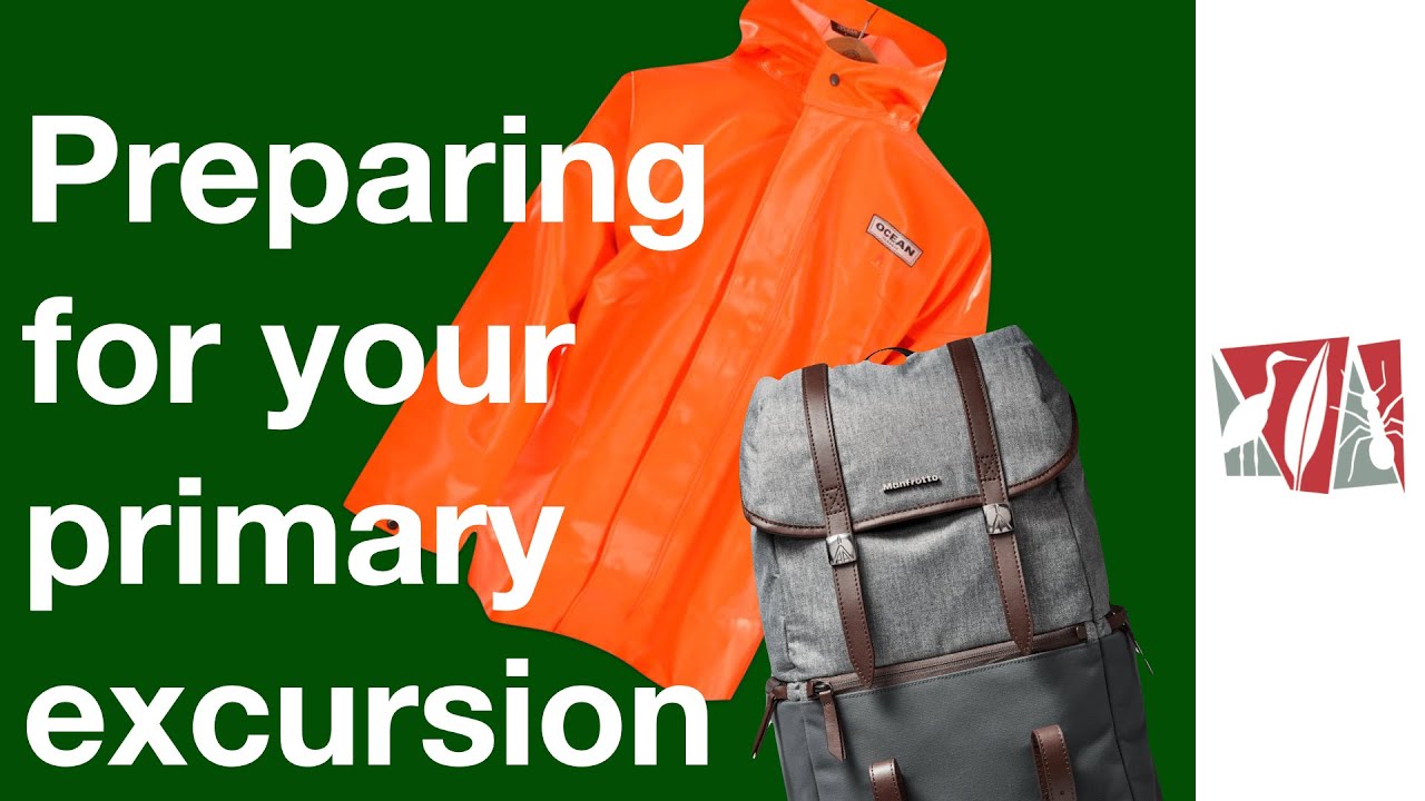 Preparing for an excursion - Primary - YouTube