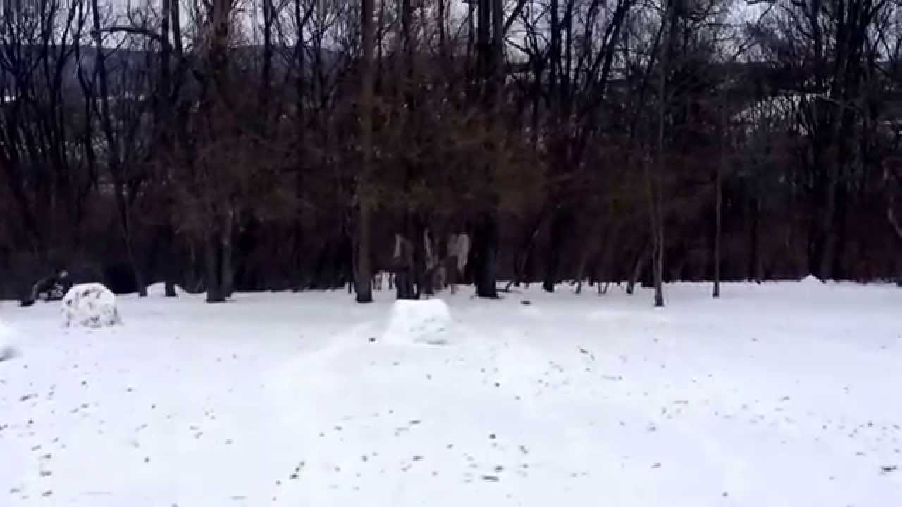 Camo Test of 3 Color, Multicam, 6 Color, and British Desert DPM - YouTube