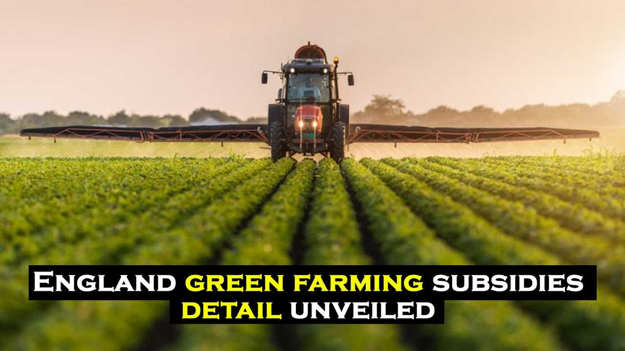 England Green Farming Subsidies Detail Unveiled | AR Entertainments ...