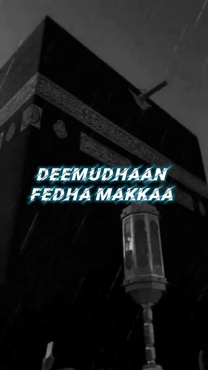 Deemudhaan Fedha Makkaa #newmanzuma #habesha @alfarukmultimediaproduction - YouTube