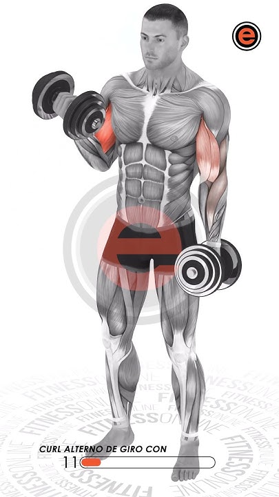 Domina el Curl Alterno de Giro con Mancuernas para bíceps GRANDES - YouTube