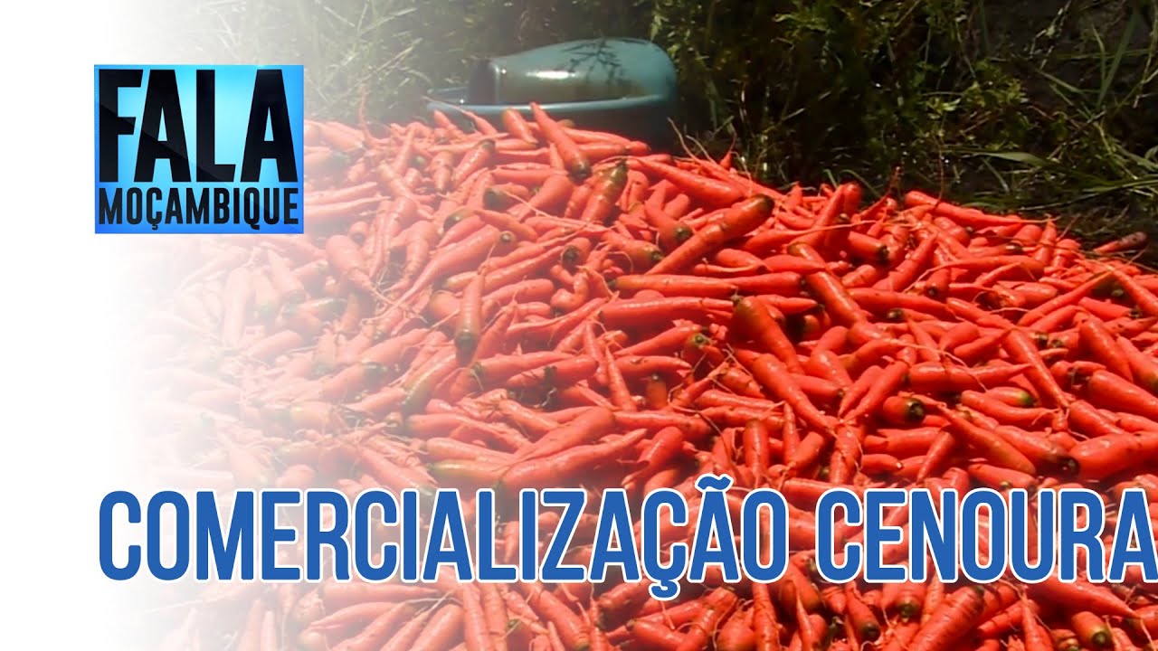 Produtores de Bobole defendem preços justos para o produto - YouTube