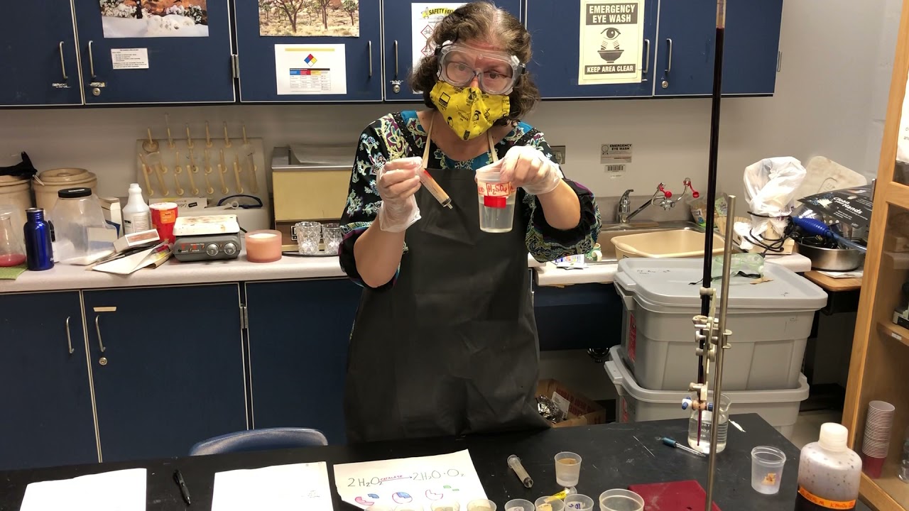 Mrs Murdock demonstrates Enzyme Lab part 1 - YouTube