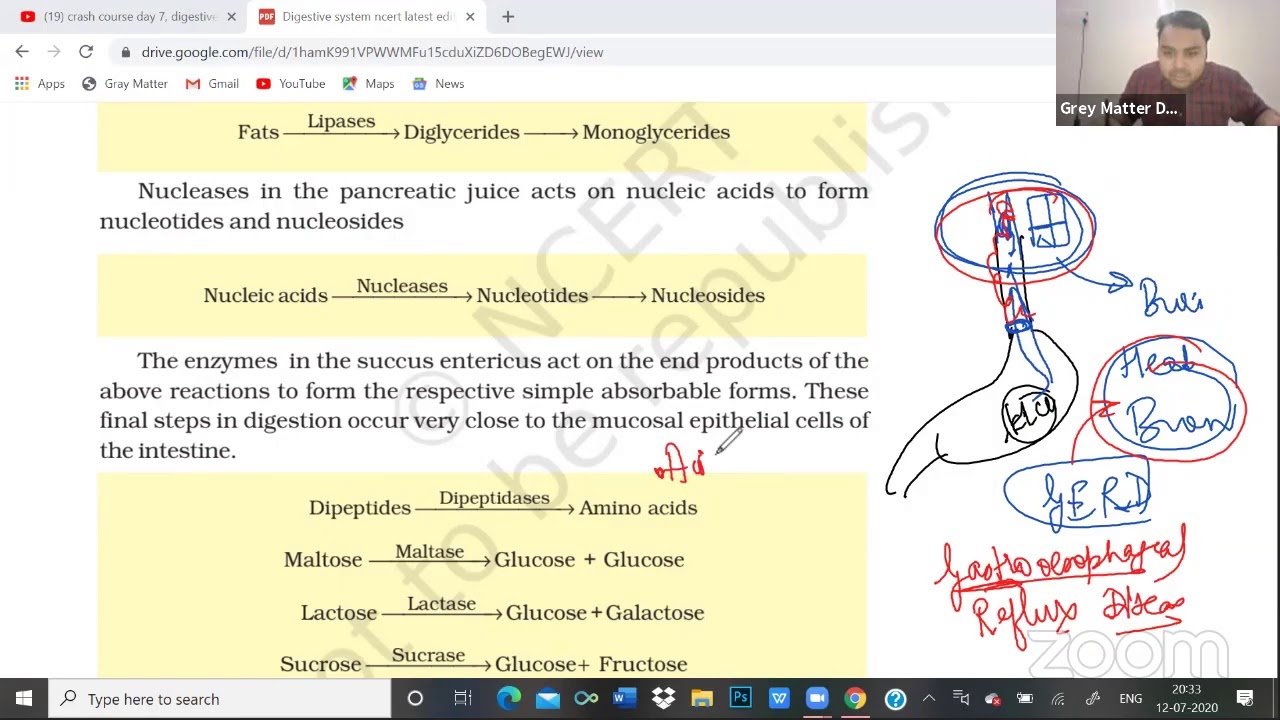 crash course day 7, digestive system - YouTube