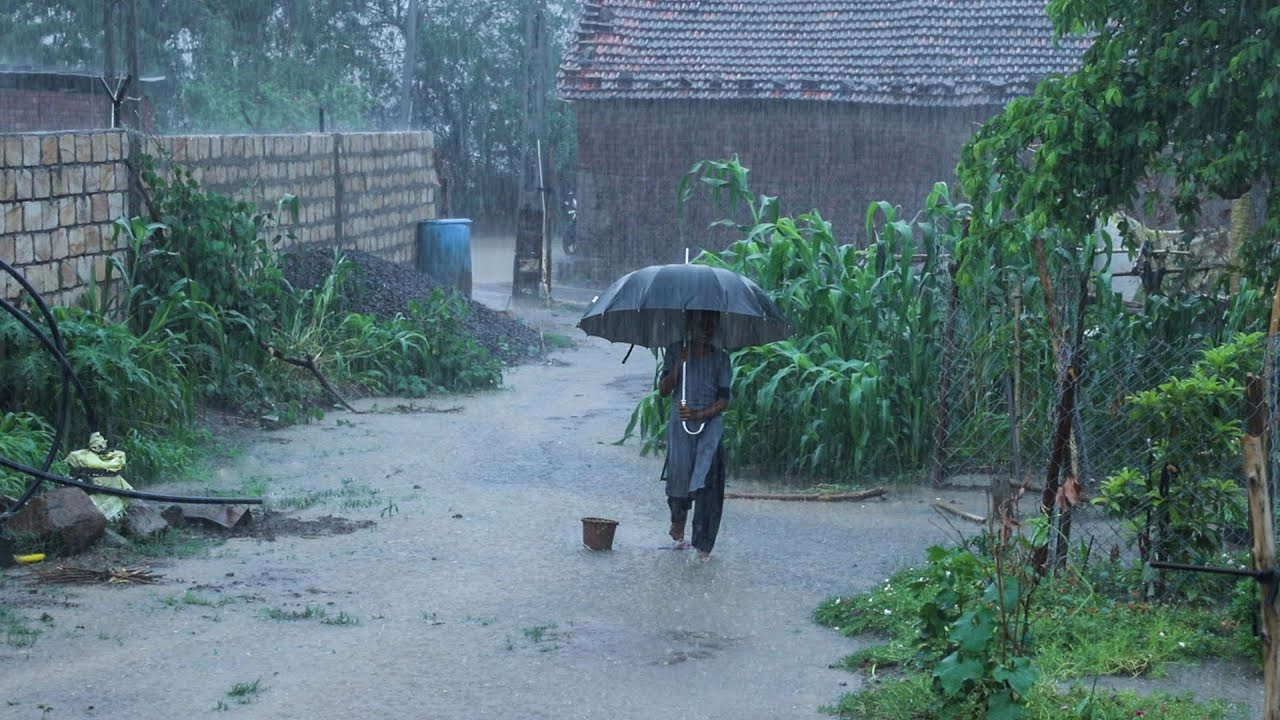 Heavy Rain in Village | Beautiful Rain Scenery| Monsoon Nature - YouTube