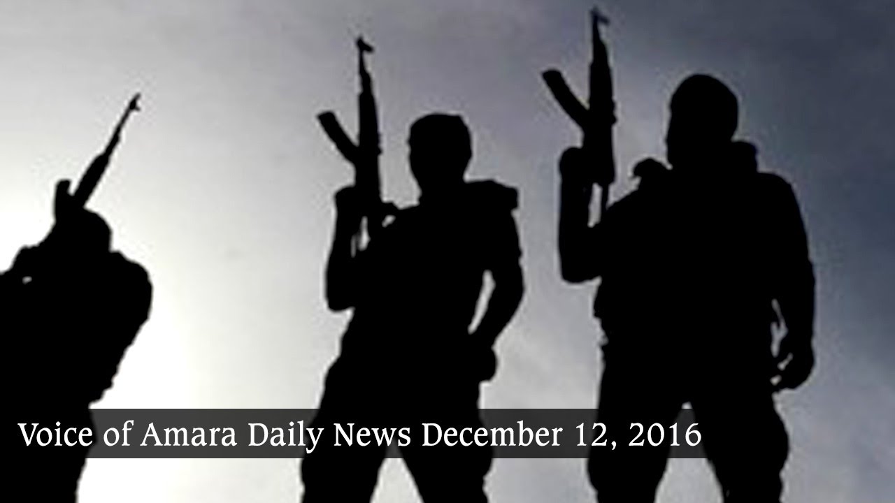 Voice of Amara Daily News to Ethiopia December 12, 2016 - YouTube