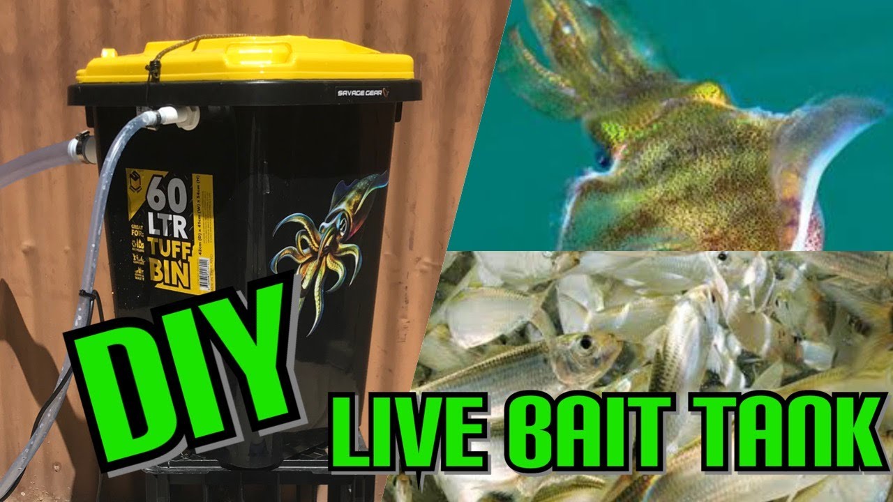 Hints & Tips/Live Bait Tank On A Budget!! - YouTube