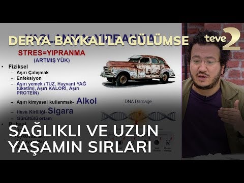 Derya Baykal'la Gülümse: Sağlıklı ve Uzun Yaşamın Sırları