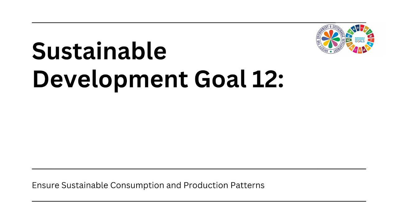 Sustainable Development Goal 12 Ensure Sustainable Consumption and ...