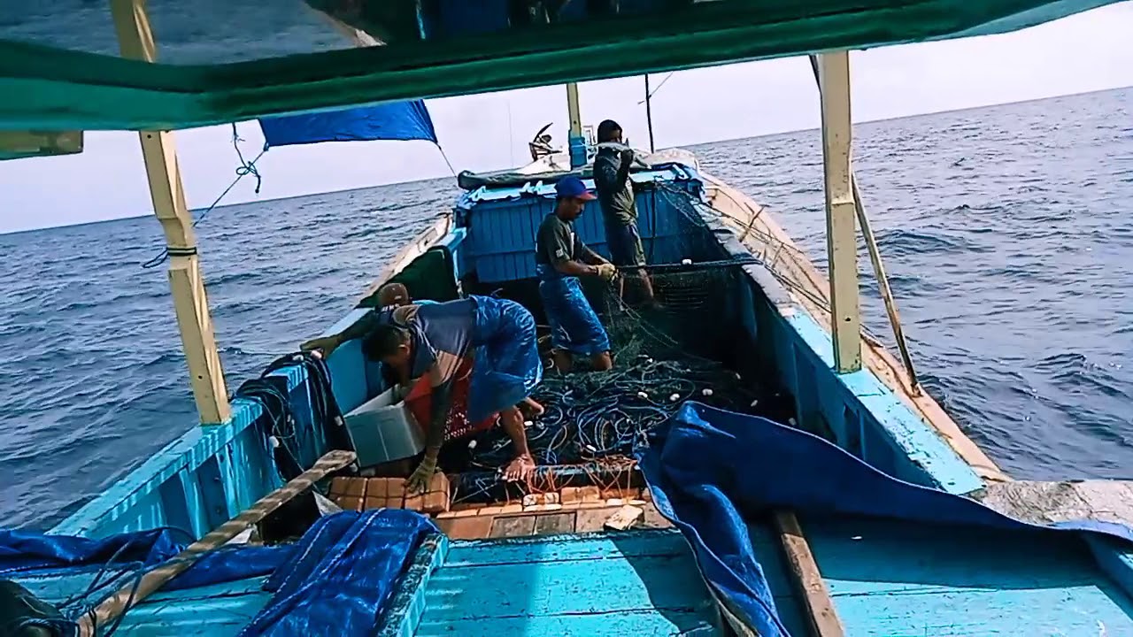 Penjaring ikan ruma ruma dapat banyak - YouTube