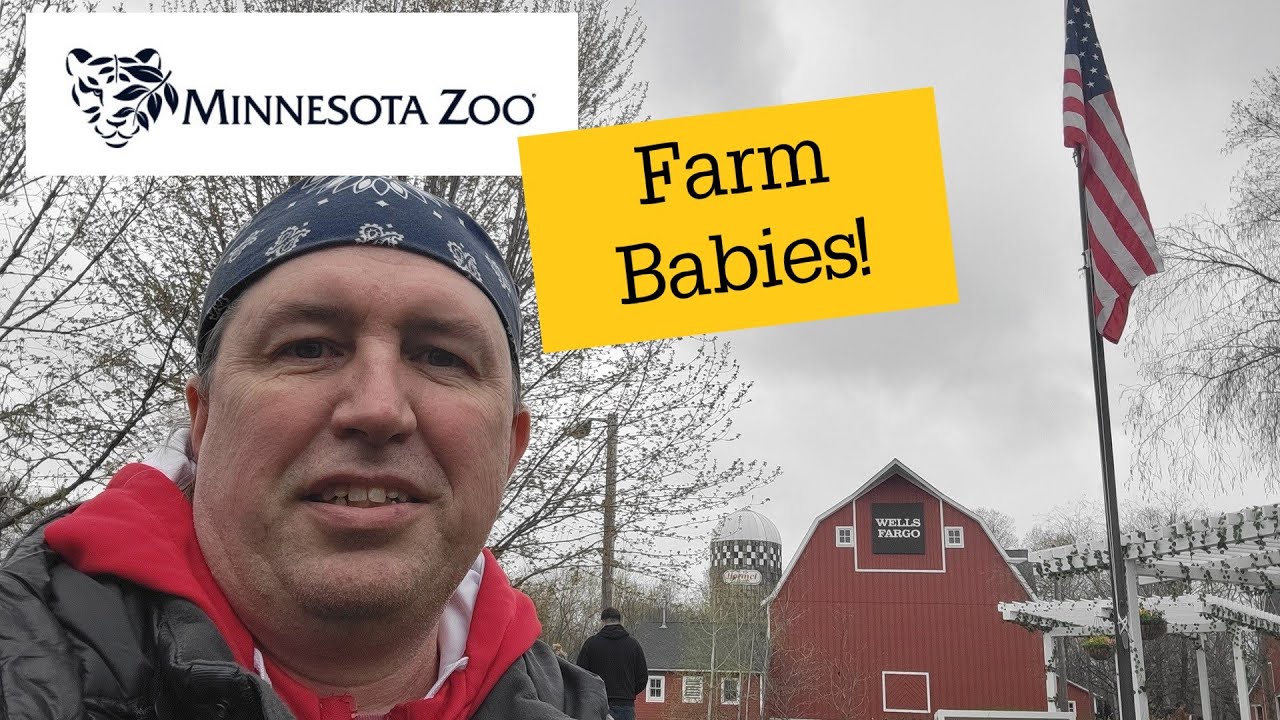 Minnesota Zoo Farm 2024 - YouTube