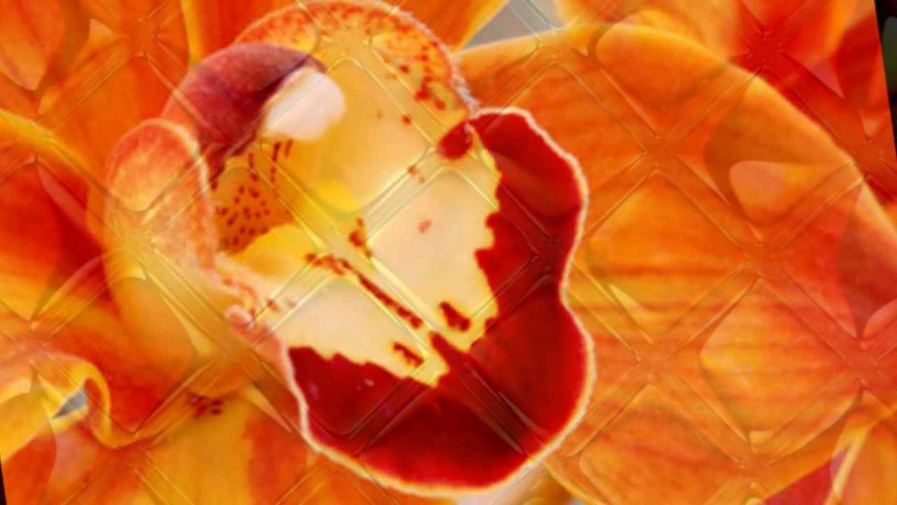 Colour Therapy: ORANGE - YouTube