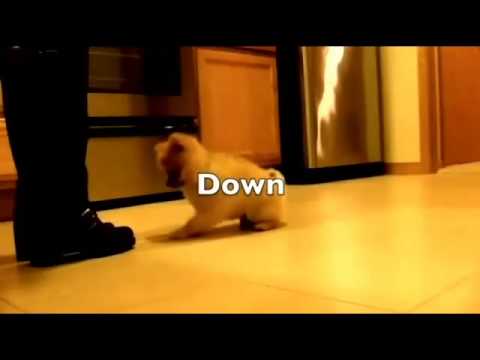 Weather WTRF 7 News Sports Weather Wheeling Steubenville - YouTube