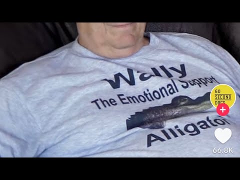 Wally - The Emotional Support Alligator Missing in Georgia... - YouTube