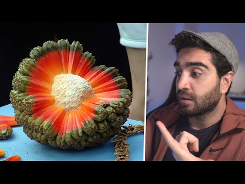 Bu Meyvenin Adı Ne? | Rahatlatıcı Videolar