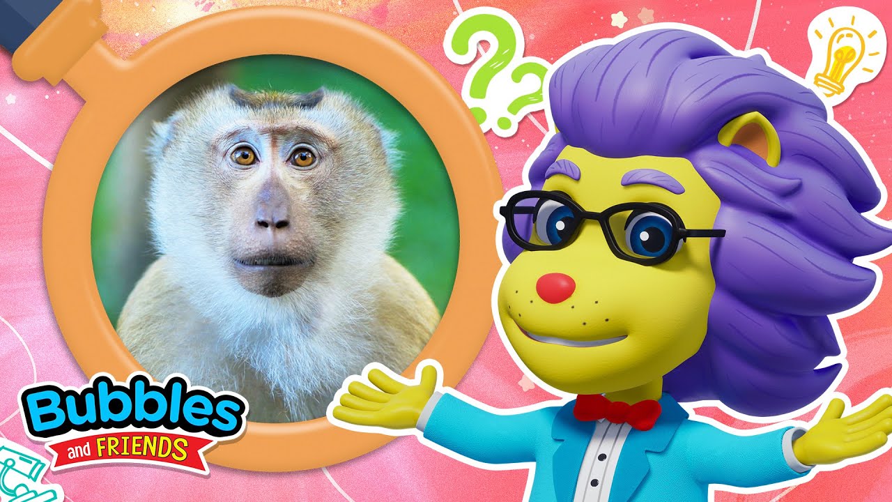 🐵 5 Little Monkey Facts for Kids | Learn with Lionstein | Bubbles and ...