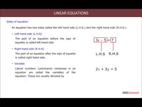 Simple Equations - Linear Equations | Class 7 Math - YouTube