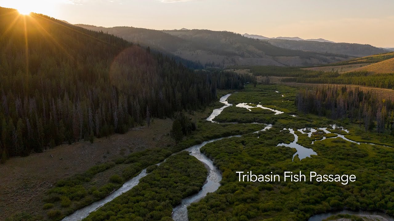 The Tribasin Divide - YouTube