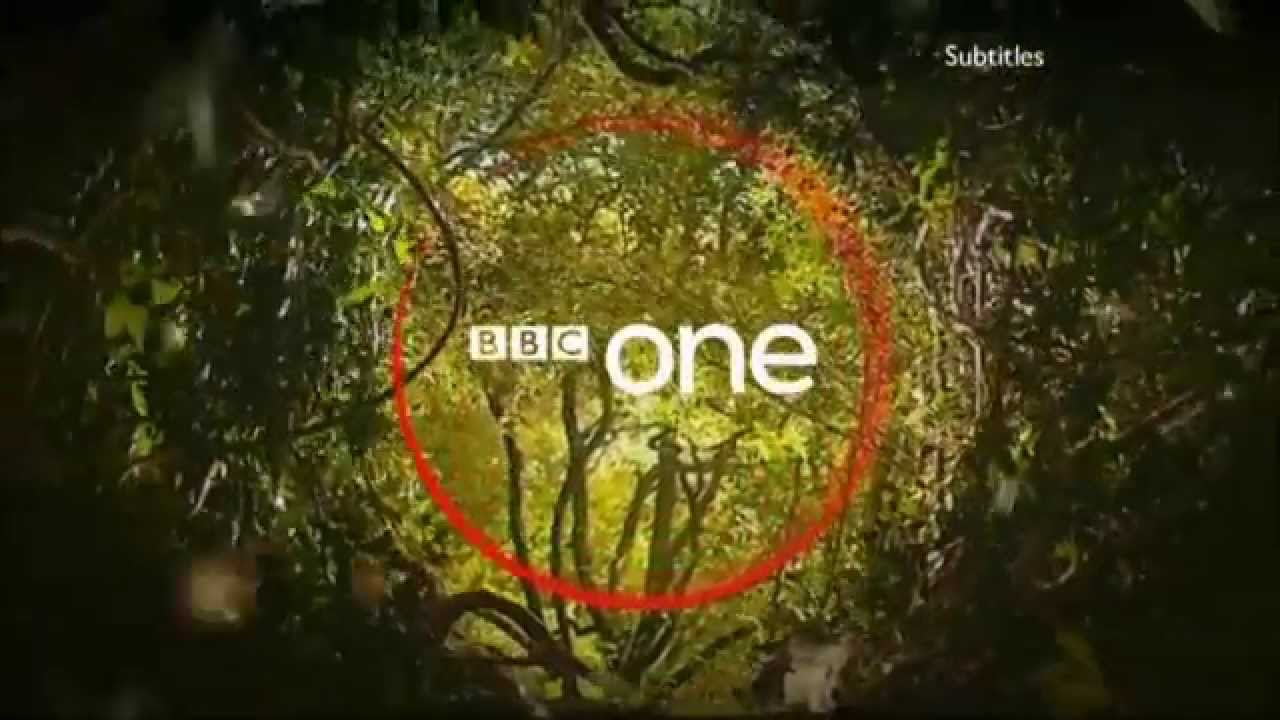 BBC One ident 'Forest' Transparent (2009 edit) (SD) - YouTube