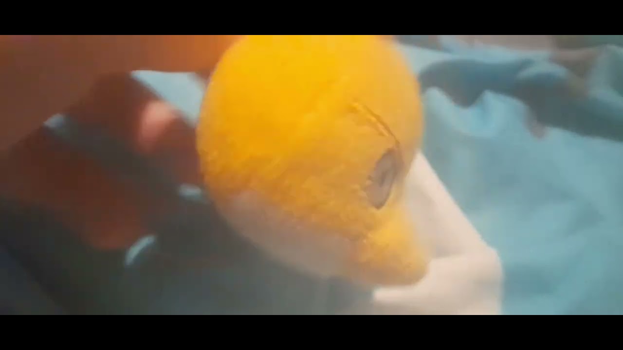 my angry birds bootleg plush collection (READ DESCRIPTION) - YouTube