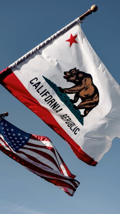 The Bear Flag Revolt #california #history #historyofamerica # ...