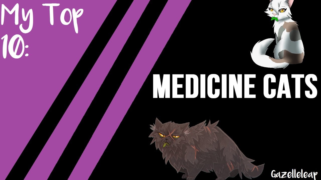 TOP 10 ~ Medicine Cats (Warriors) - YouTube