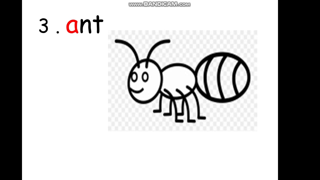 English Grade 1 Short A Sound YouTube english-grade-1-short-a-sound-youtube