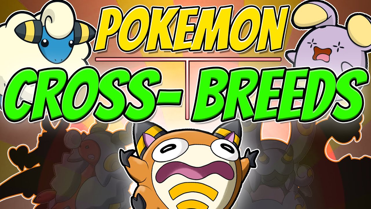The potential of Pokemon Cross-Breeding - ft. Neckpunch - YouTube