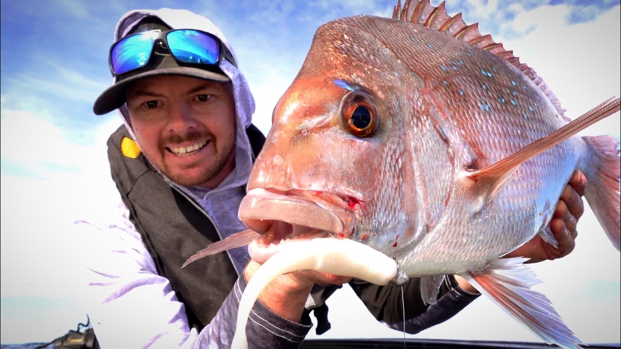 EARLY WINTER SNAPPER ON SHALLOW REEFS - YouTube