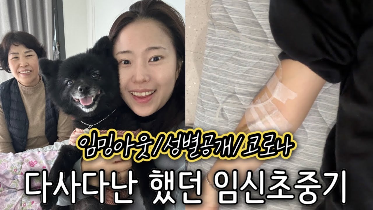 임산부vlog 8 18주차 임산부ㅣ엄마한테 서프라이즈 임밍아웃 성공성별공개 하자마자 코로나에 걸린 임신 초중기🤰🏻