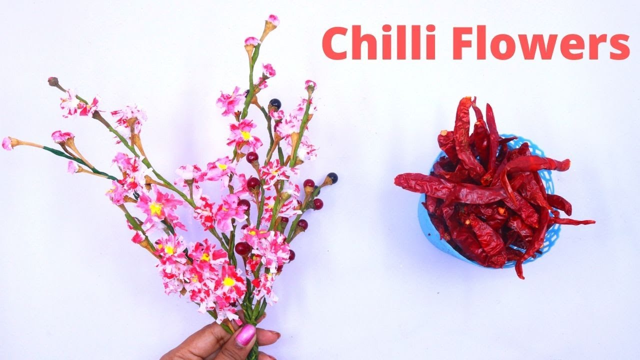 Amazing Flower Making From Red Chilli Easy Flower Making Ideas By Aloha Crafts YouTube amazing-flower-making-from-red-chilli-easy-flower-making-ideas-by-aloha-crafts-youtube