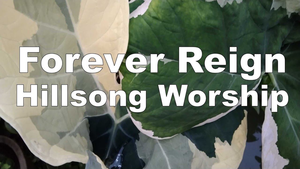 Forever Reign - Hillsong Worship - YouTube
