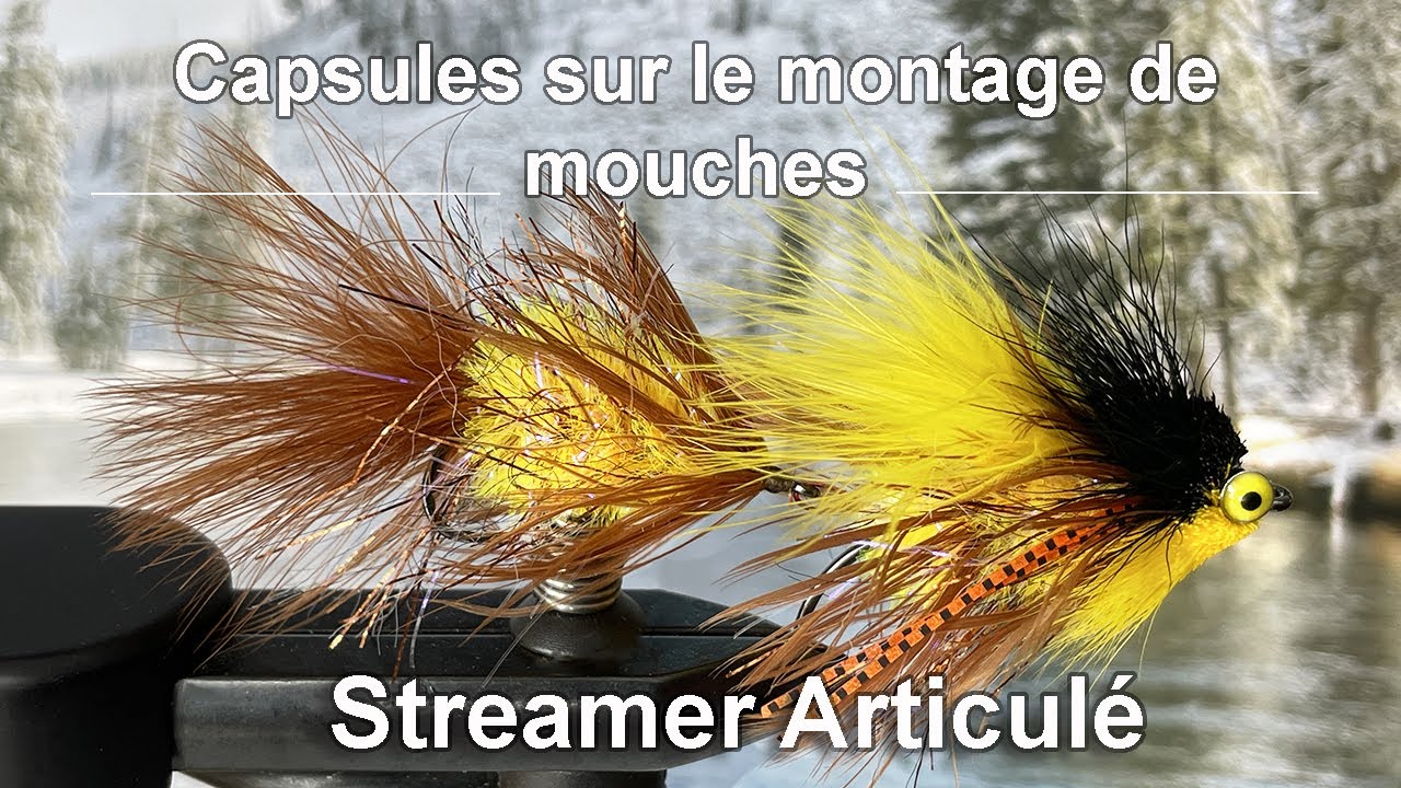 47- Streamer Articulé HD - YouTube