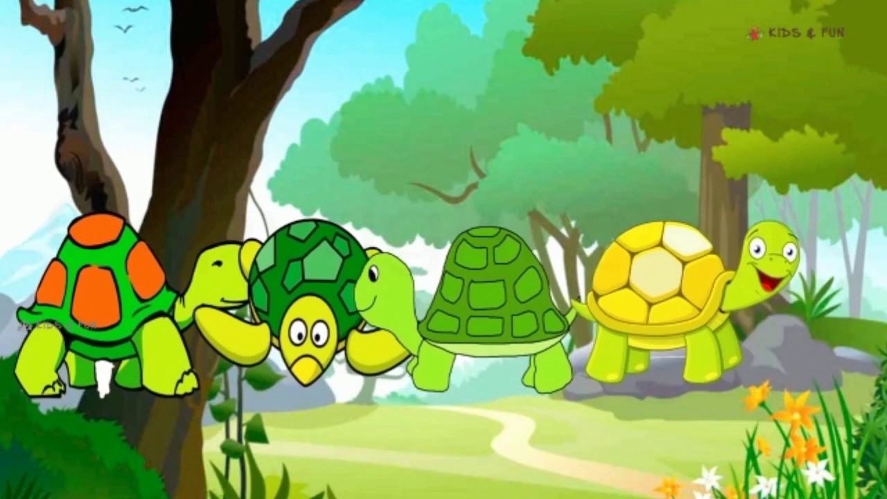 Tortoise Finger Family Rhymes | Turtles Finger Family song | Finger ...