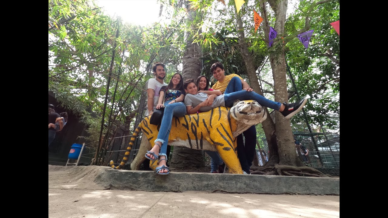 Vamos al Zoológico - YouTube