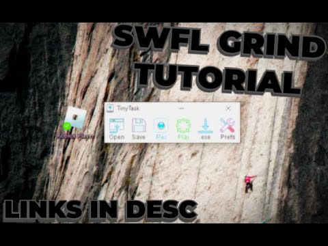 - How to install TinyTask for SWFL | 2023 AutoFarm - YouTube